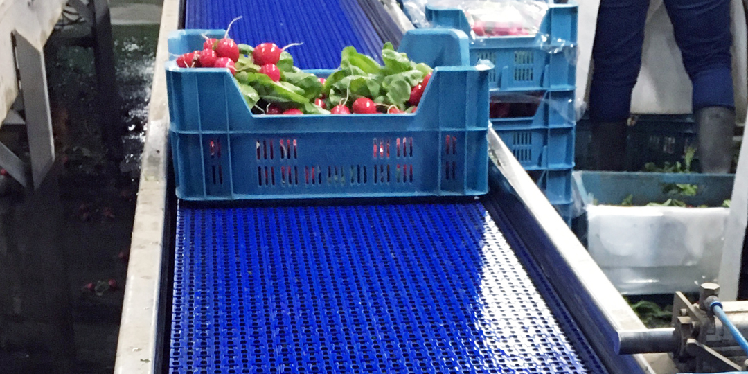 AGF - Scanbelt Conveyma