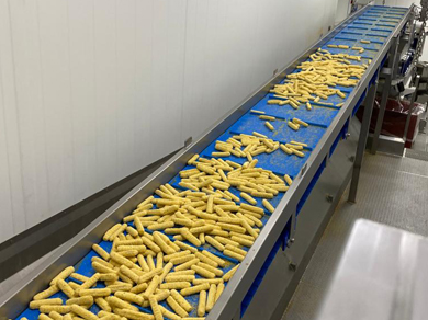 Monolithische transportbanden (Vol PU) voor de snack industrie ...
